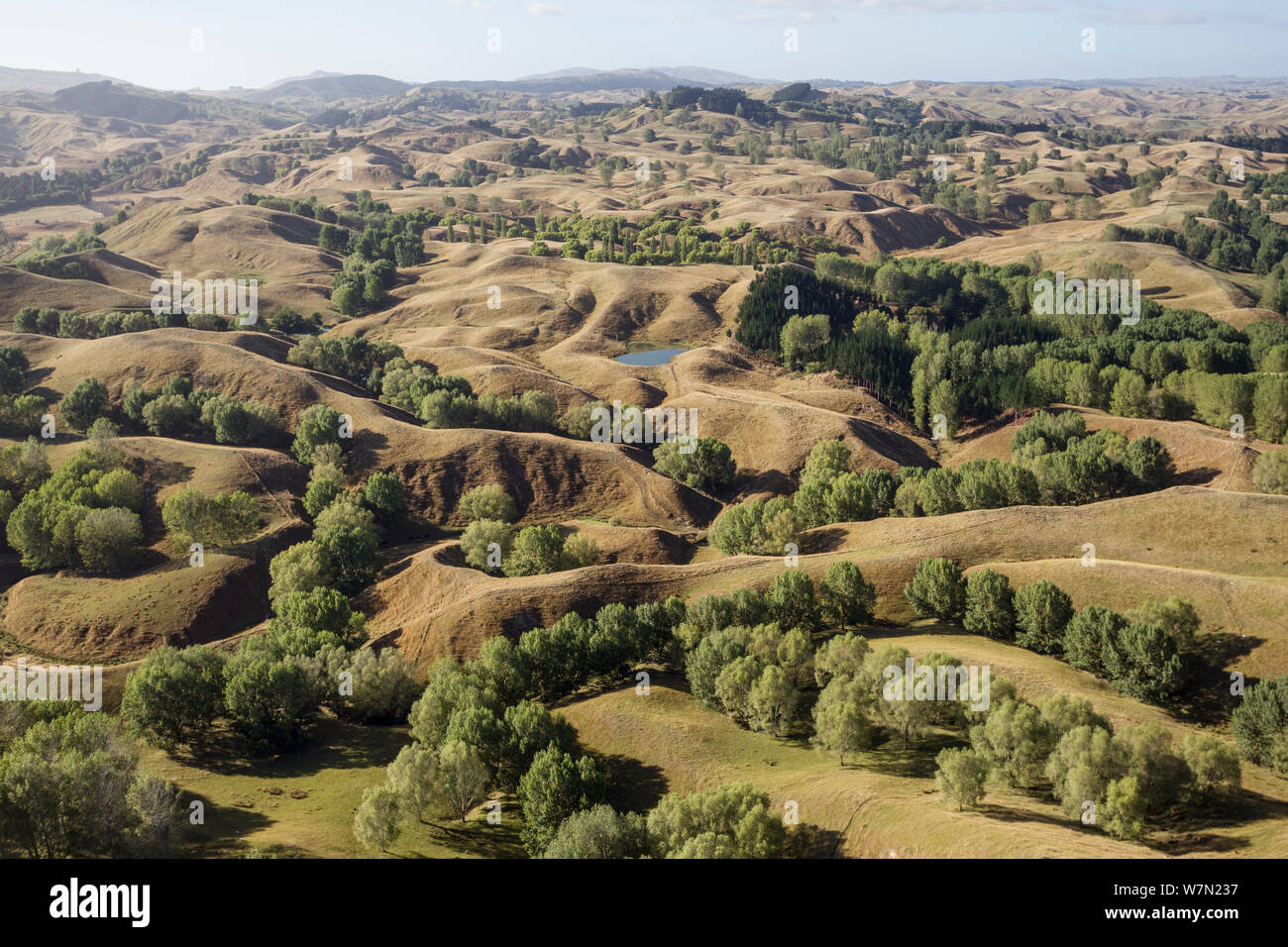 Farm Ponds High Resolution Stock Photography and Images - Alamy