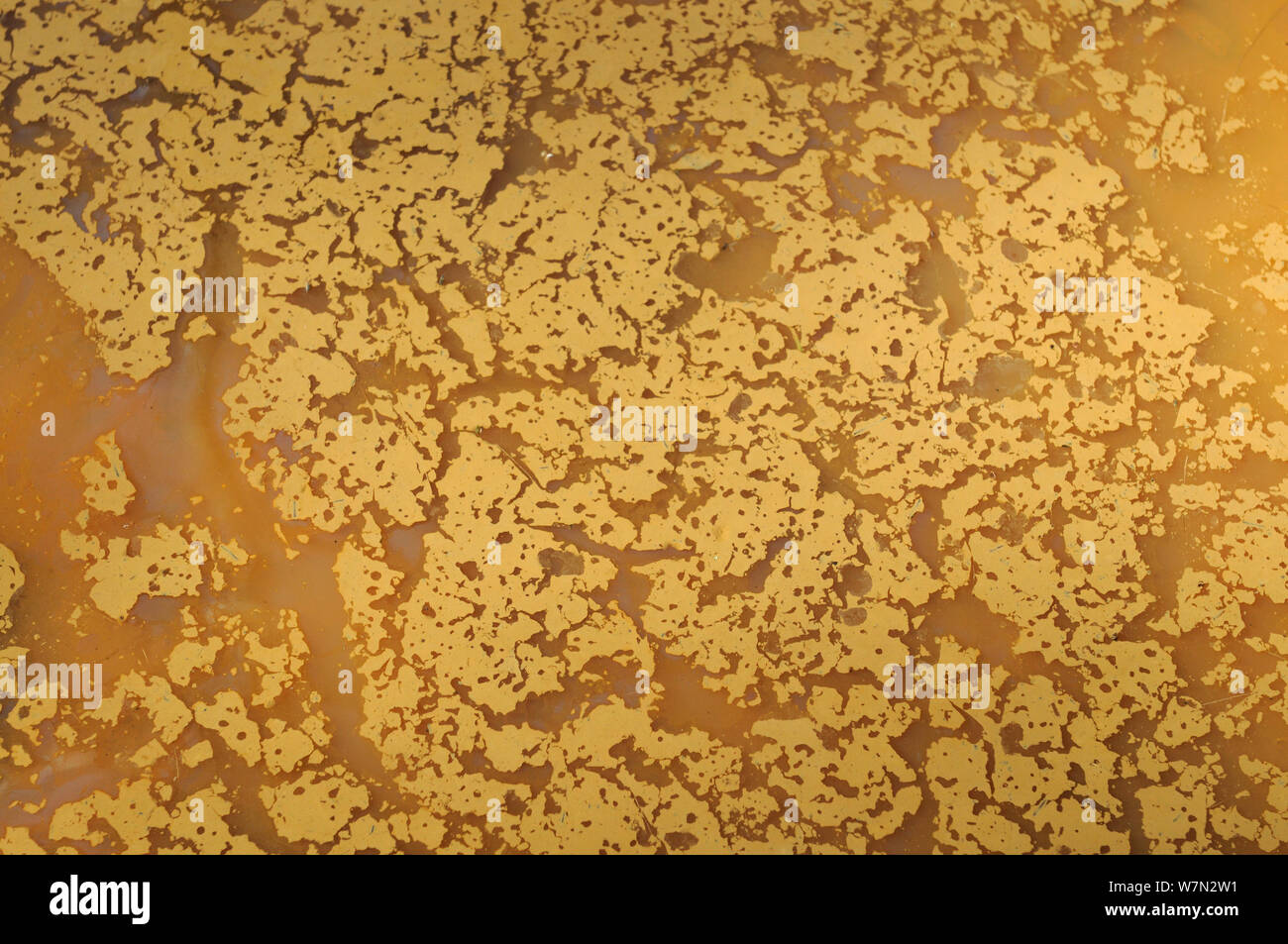 Muddy pond hi-res stock photography and images - Alamy