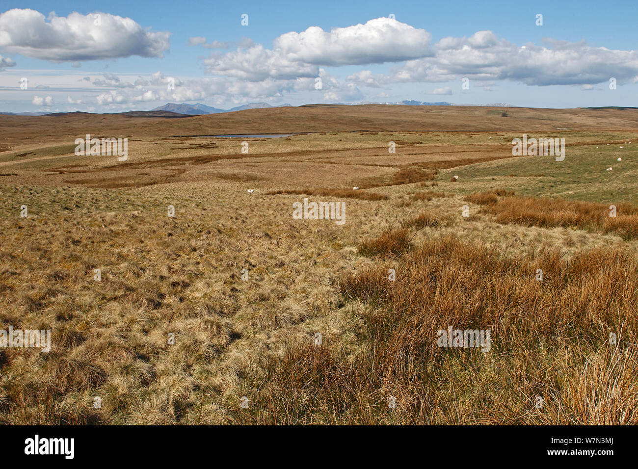 Denbigh moors in north wales hi-res stock photography and images - Alamy