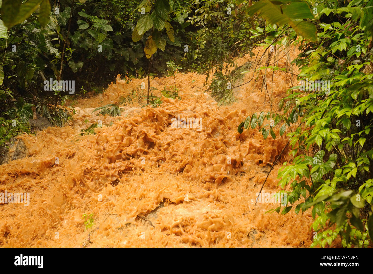Cloud forest river in spate, Jama Coaque Reserve, Manabi Province ...