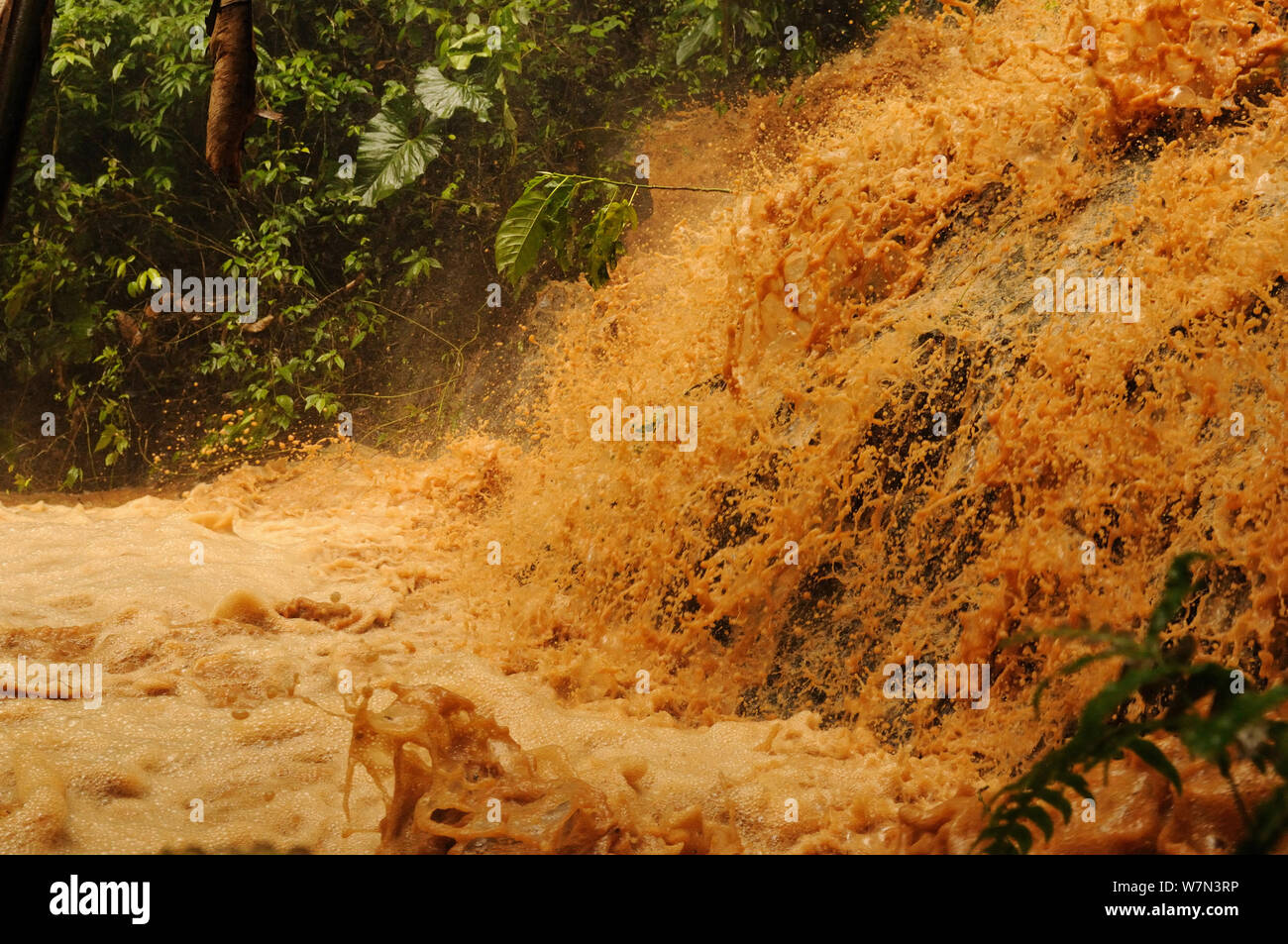 Cloud forest river in spate, Jama Coaque Reserve, Manabi Province ...