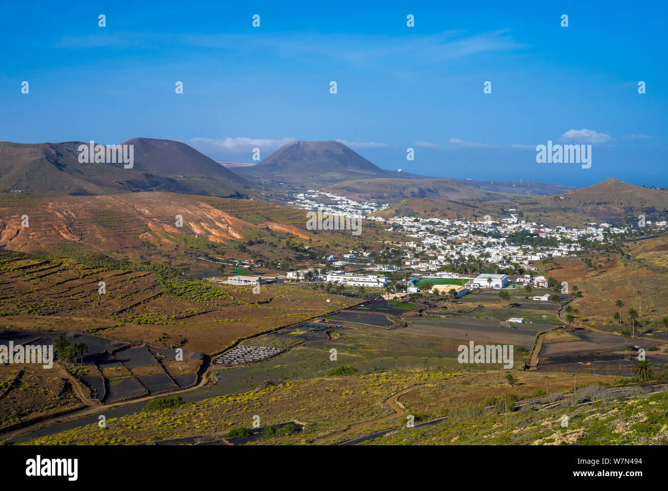 Spain, Lanzarote, Houses of haria the city of palm trees between ...