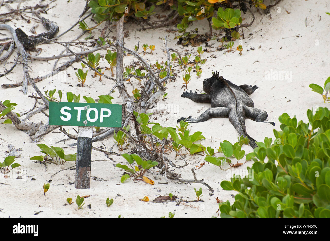 Galápagos ecuador sign hi-res stock photography and images - Alamy