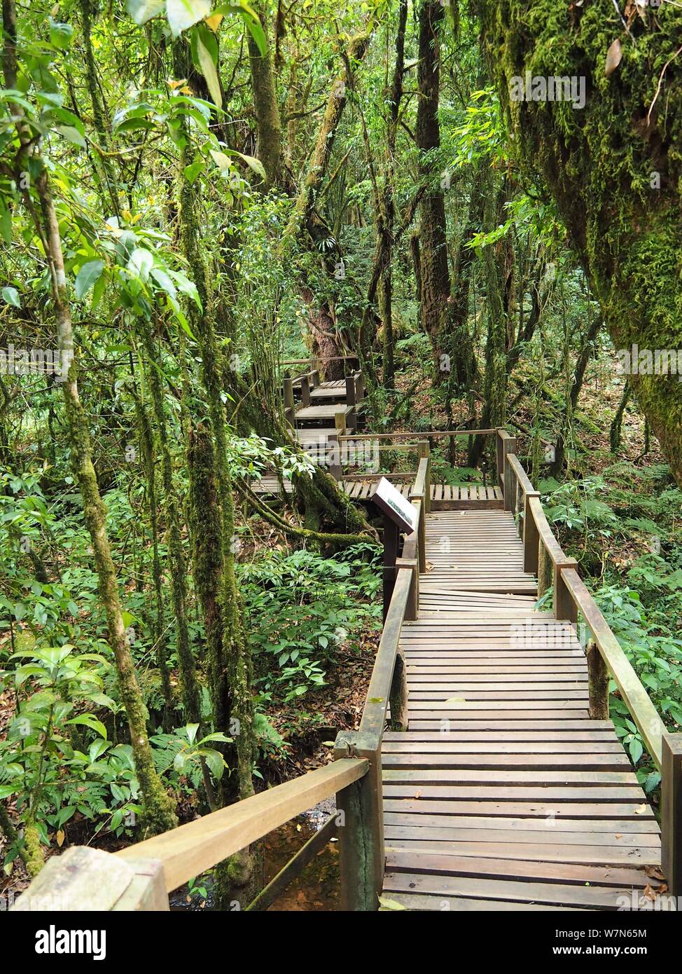 Doi intanon chiang mai hi-res stock photography and images - Alamy