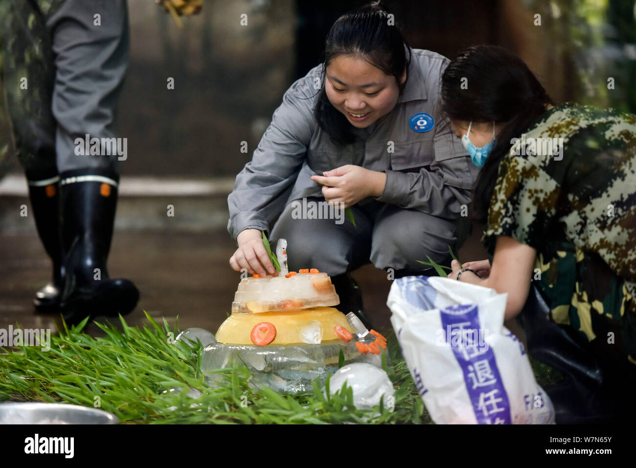 A keeper prepares the birthday cake-shaped fodder for giant pandas ...