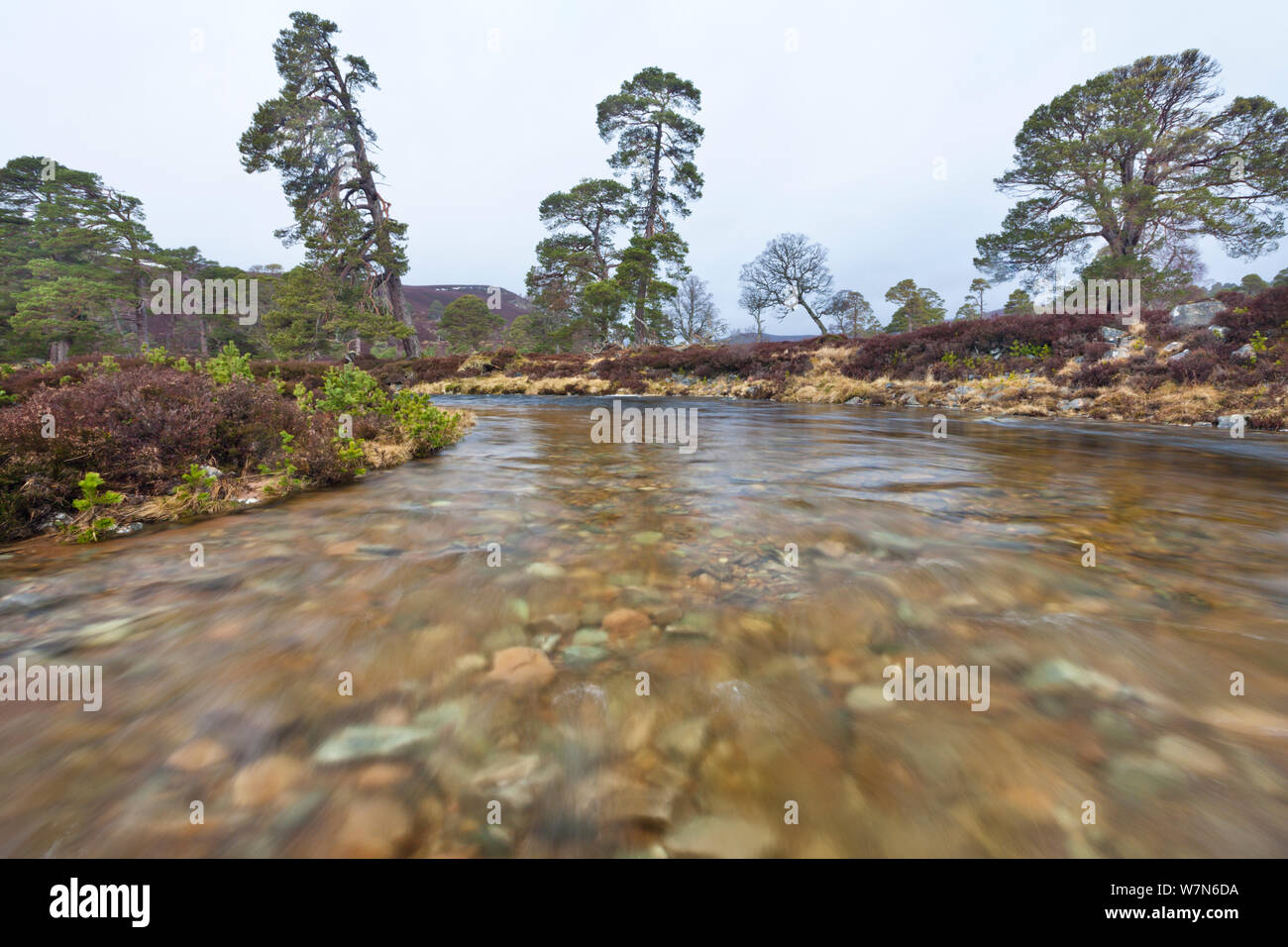 Wide angle view from middle of river (Lui Water). Braemar, Cairngorms ...