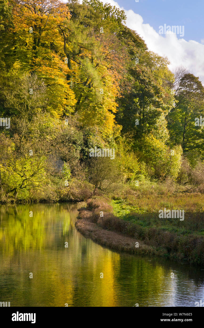 River Lathkill reflecting autumn colours, Lathkill Dale National Nature ...