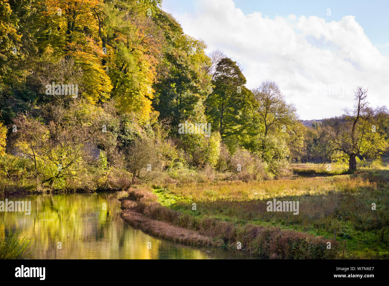 Lathkill Dale Nature Reserve High Resolution Stock Photography and ...