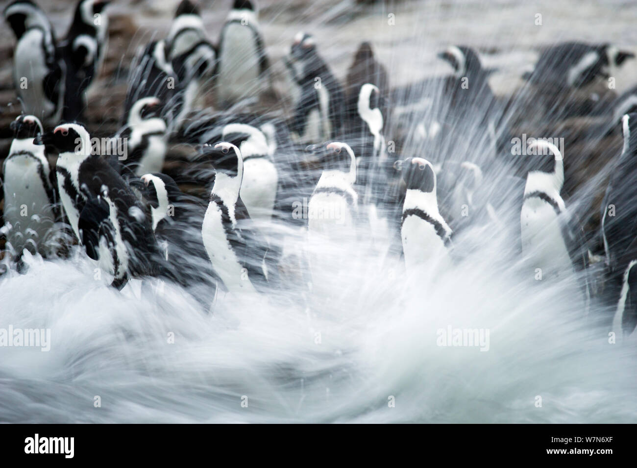 Point groups hi-res stock photography and images - Alamy