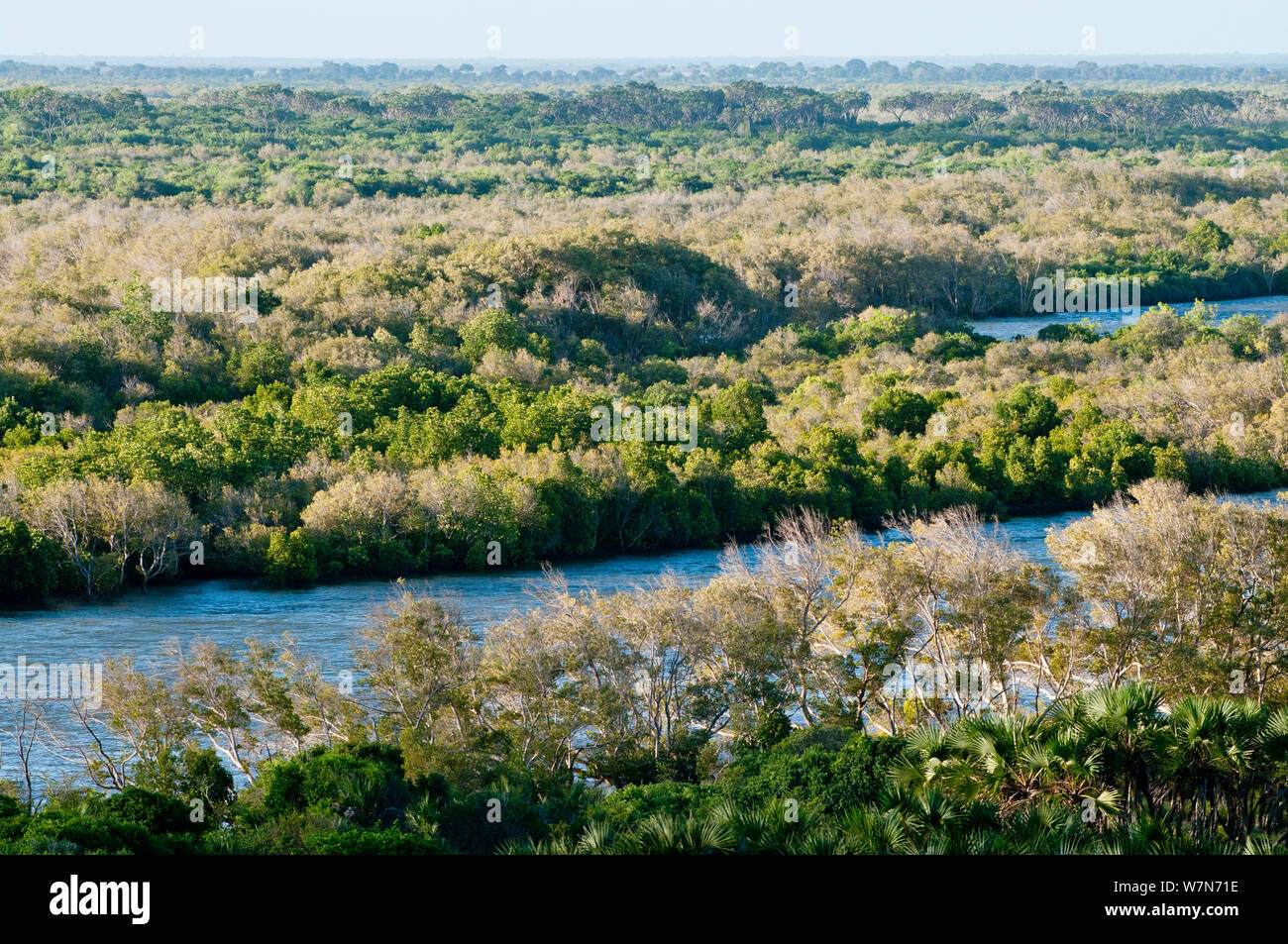 Looking across waterways and mangrove forests of the Tana River Delta ...