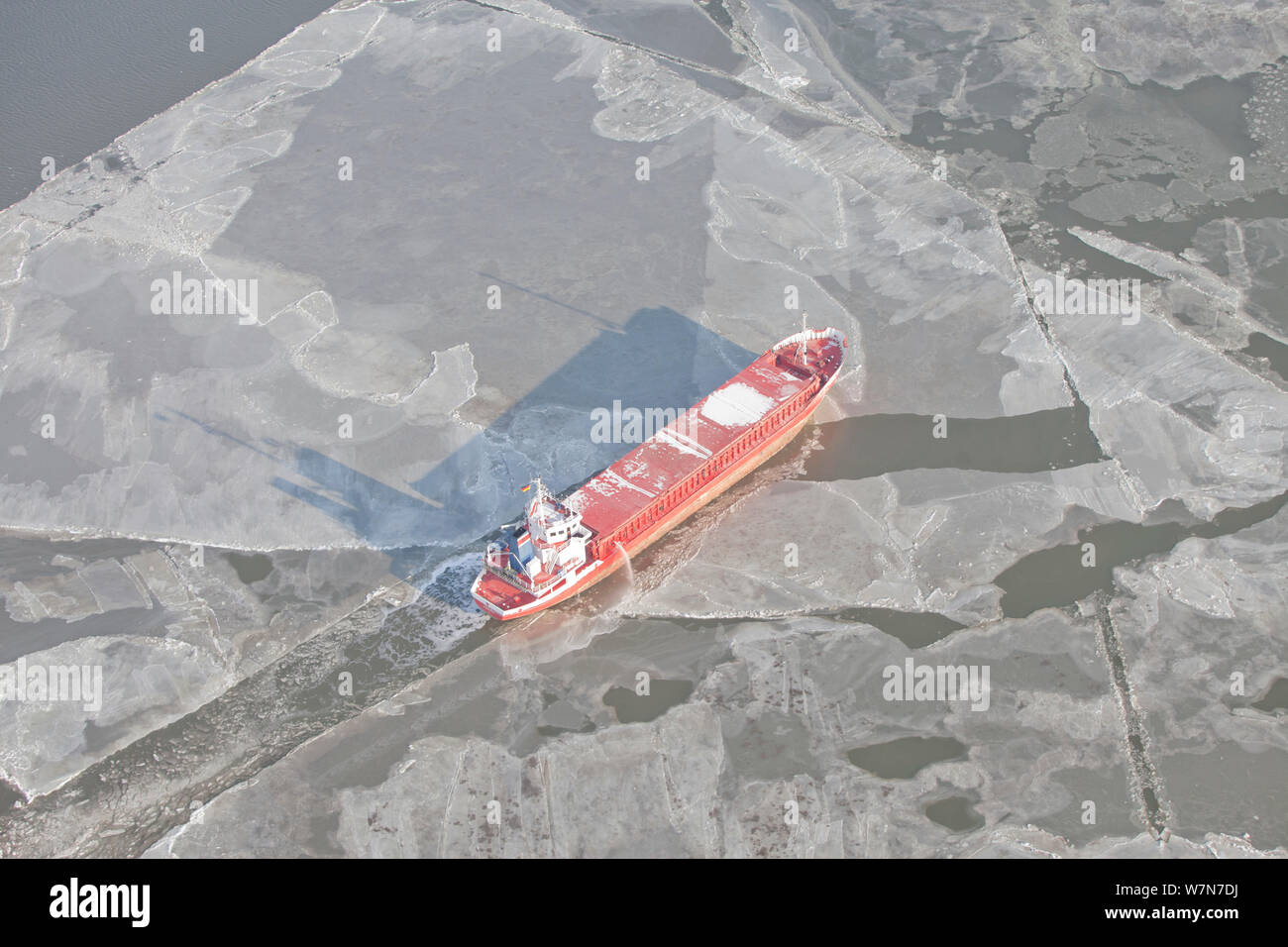 Ship breaking through sea ice. North Sea, Wadden Sea, Germany, February ...