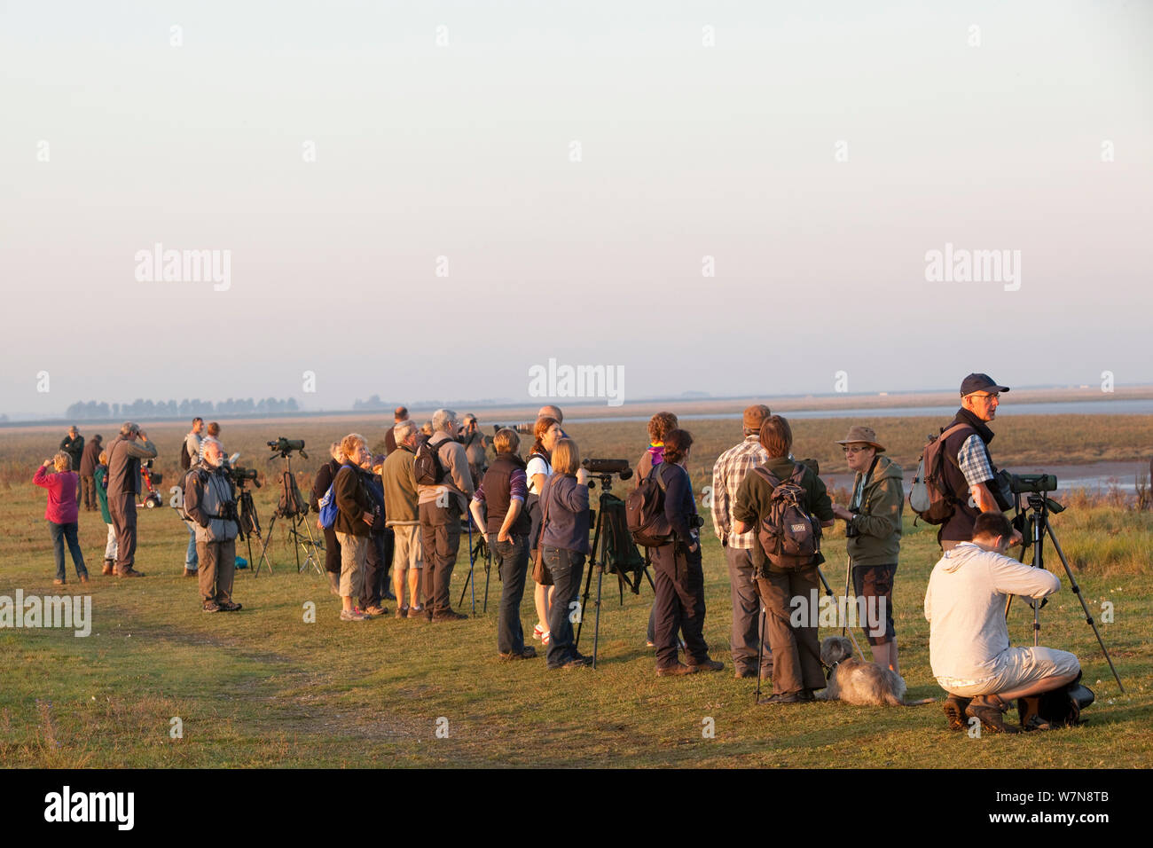 Birdwatchers at RSPB Snettisham Reserve. The Wash Estuary, Norfolk ...
