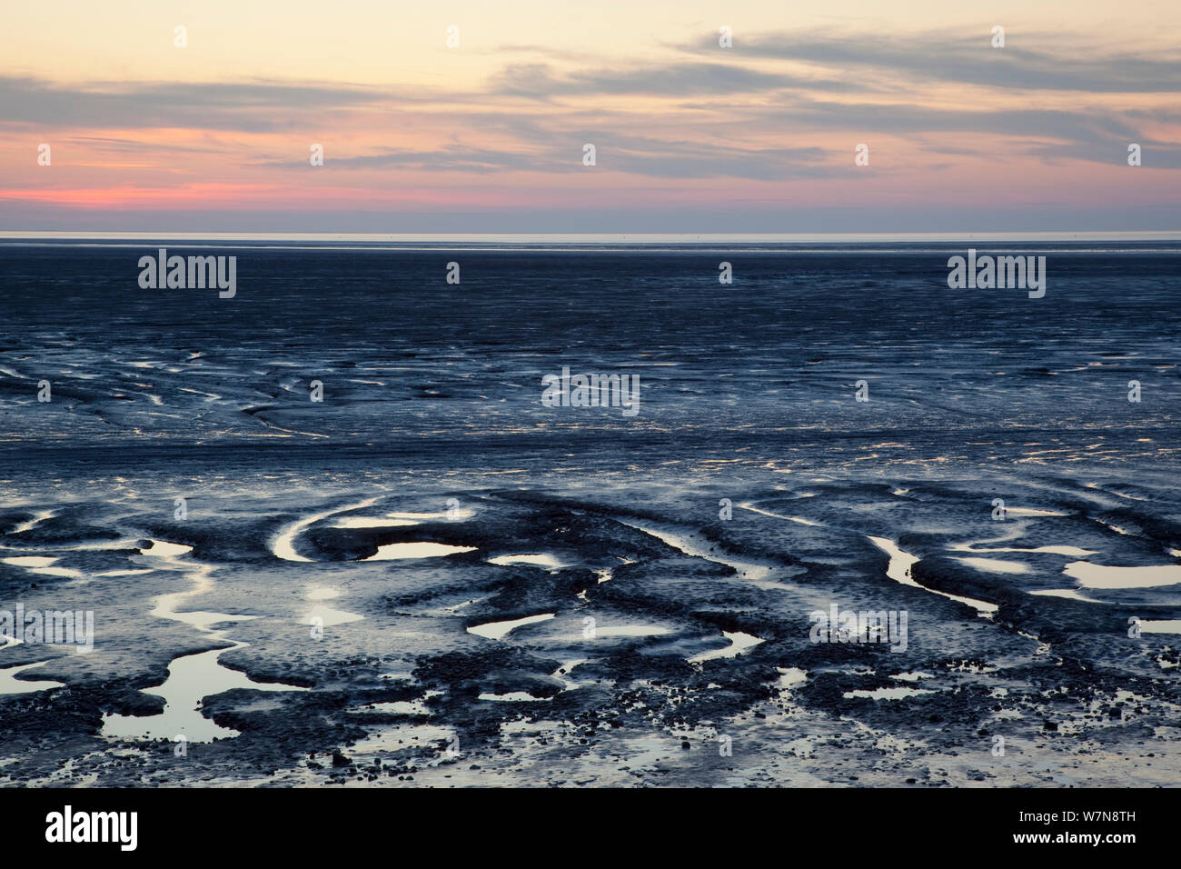 Mudflats at sunset. The Wash Estuary, Norfolk, September 2011 Stock ...