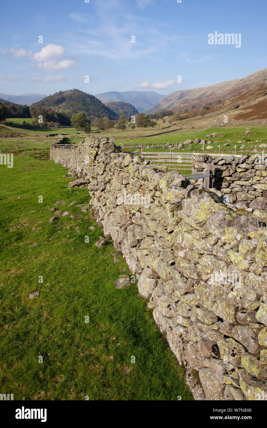 Sheep fold hi-res stock photography and images - Alamy