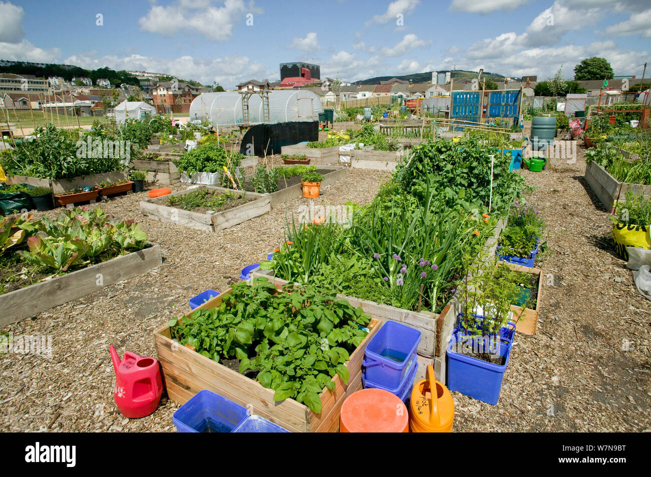 Urban allotments uk hi-res stock photography and images - Alamy