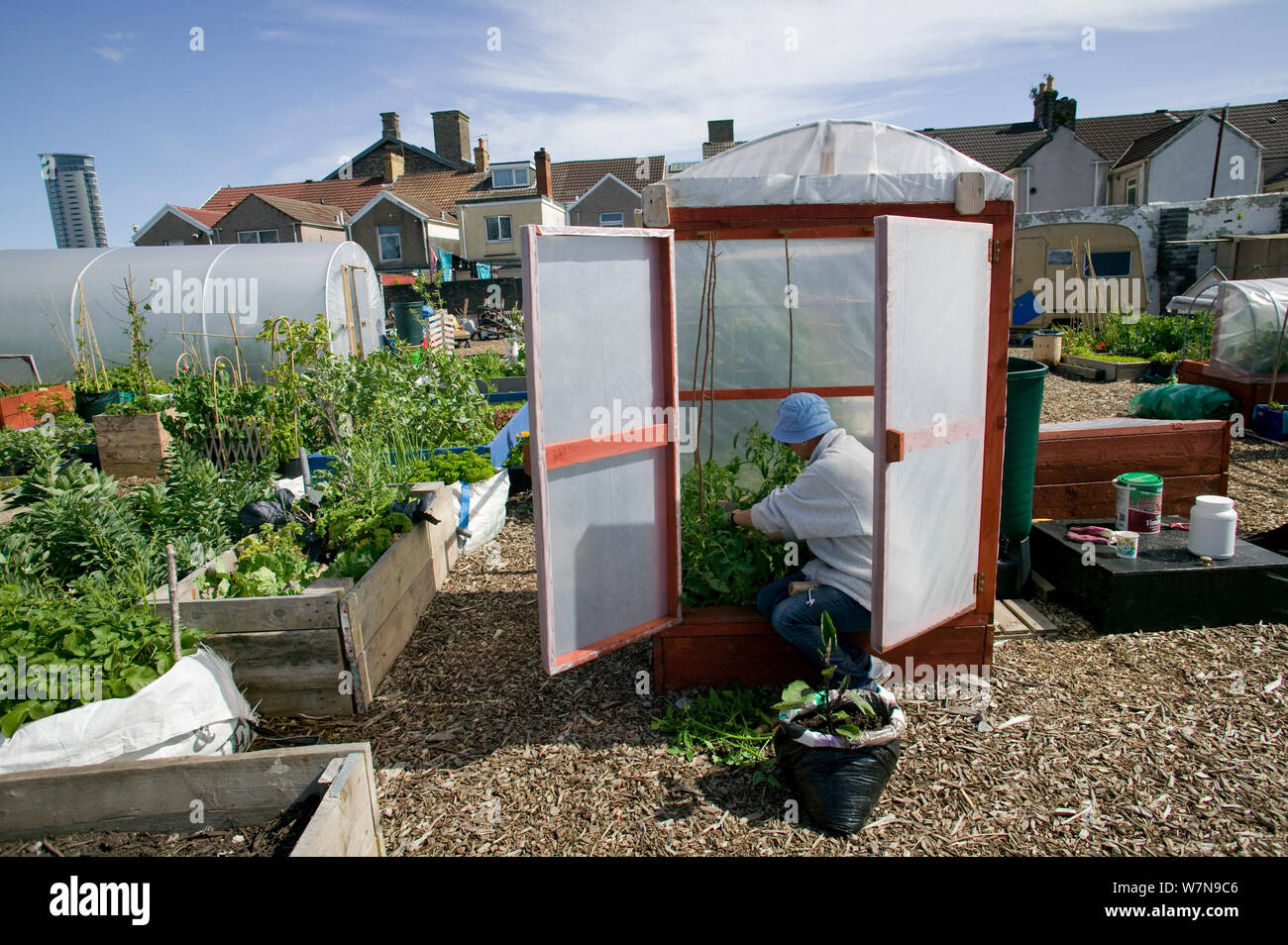 Vetch Field Swansea High Resolution Stock Photography and Images - Alamy