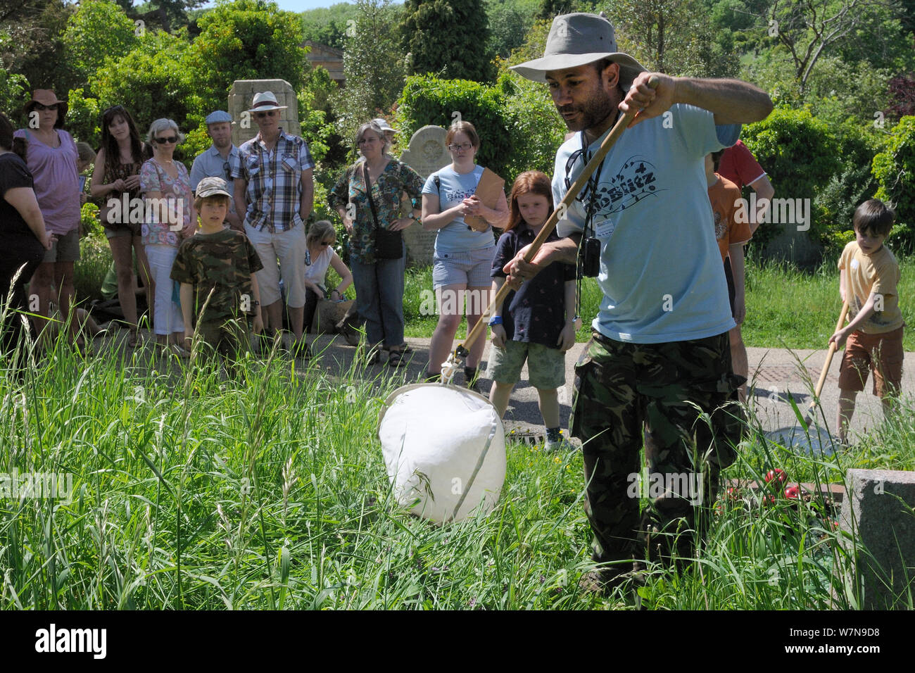 Bug watch uk hi-res stock photography and images - Alamy