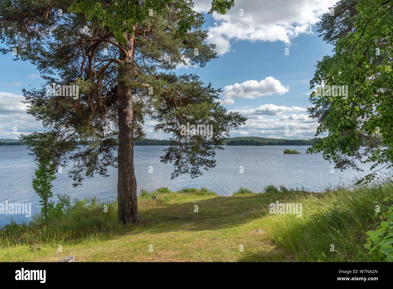 Runn hi-res stock photography and images - Alamy