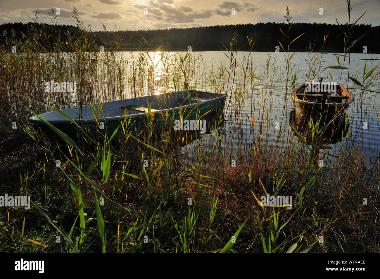 Muritz Lakes High Resolution Stock Photography and Images - Alamy