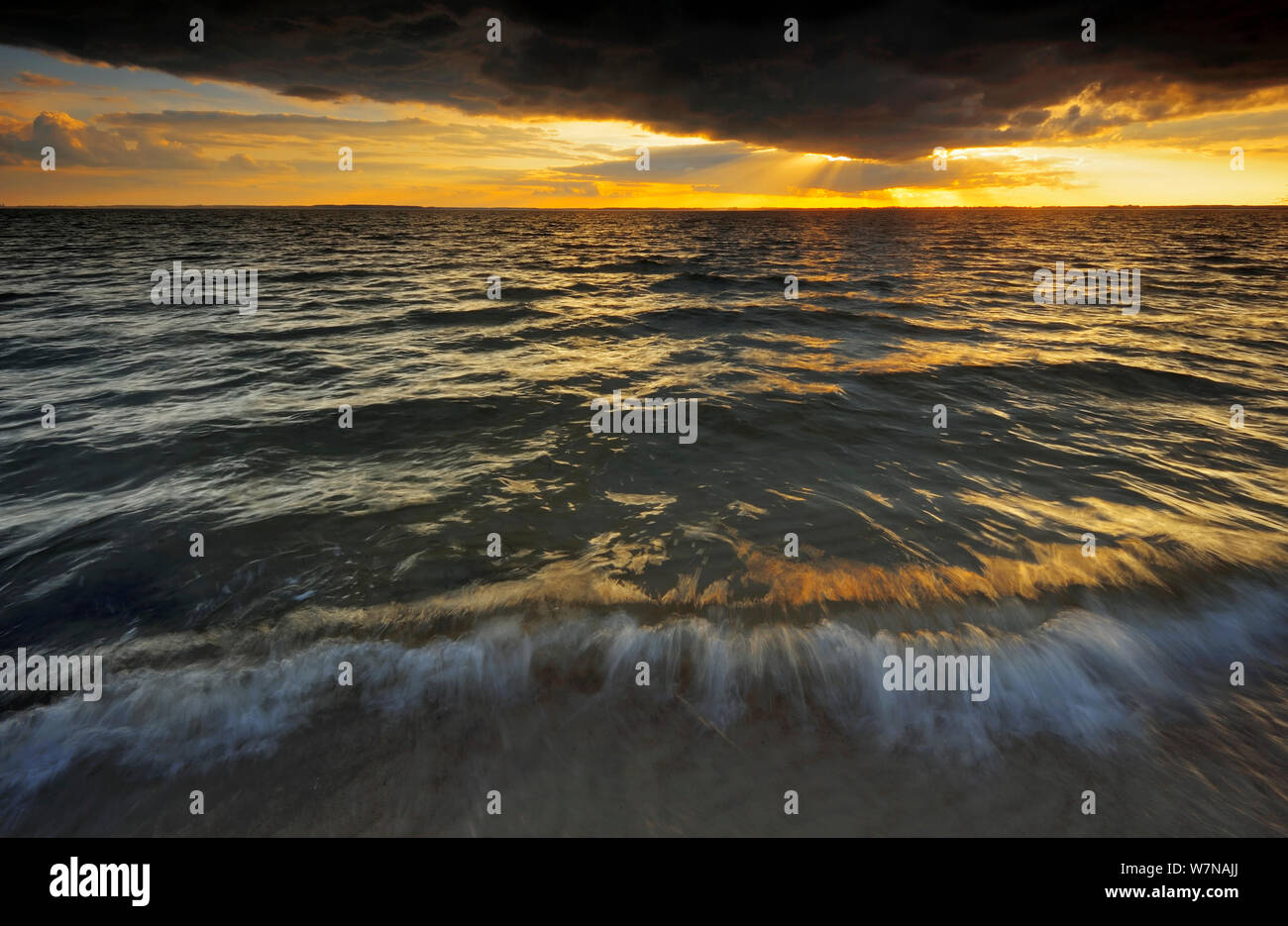 Muritz Lake, Muritz National Park at sunset, Germany, April Stock Photo ...