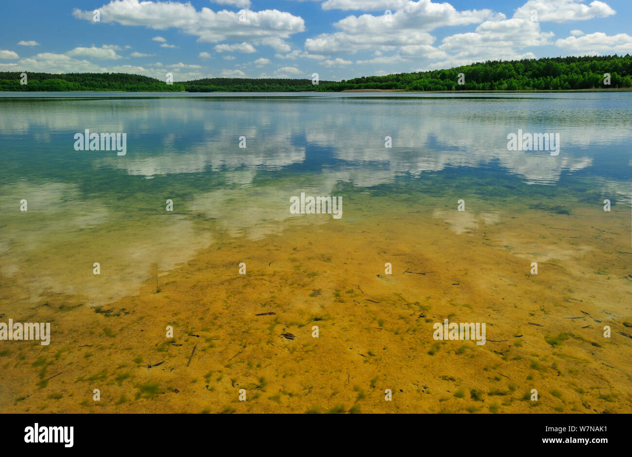 Furstenseer See / Lake, Muritz National Park, Germany, May Stock Photo ...