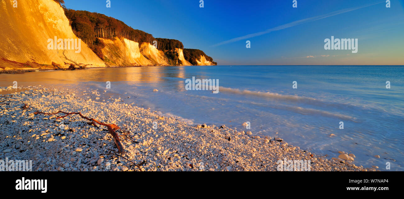 White chalk cliffs and pebble beach on the coast of the Baltic Sea ...