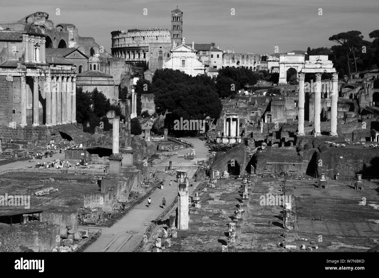 Roman forum colosseum roman ruins imperial foro romano rome ital Black ...