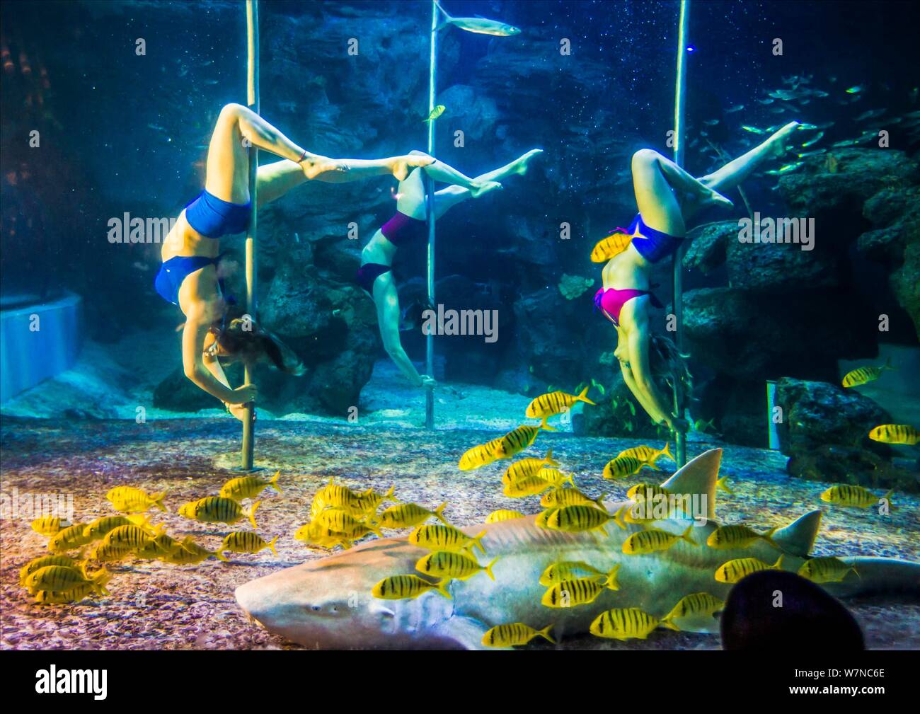 Tourists watch Russian girls perform an underwater pole dance at a sea ...