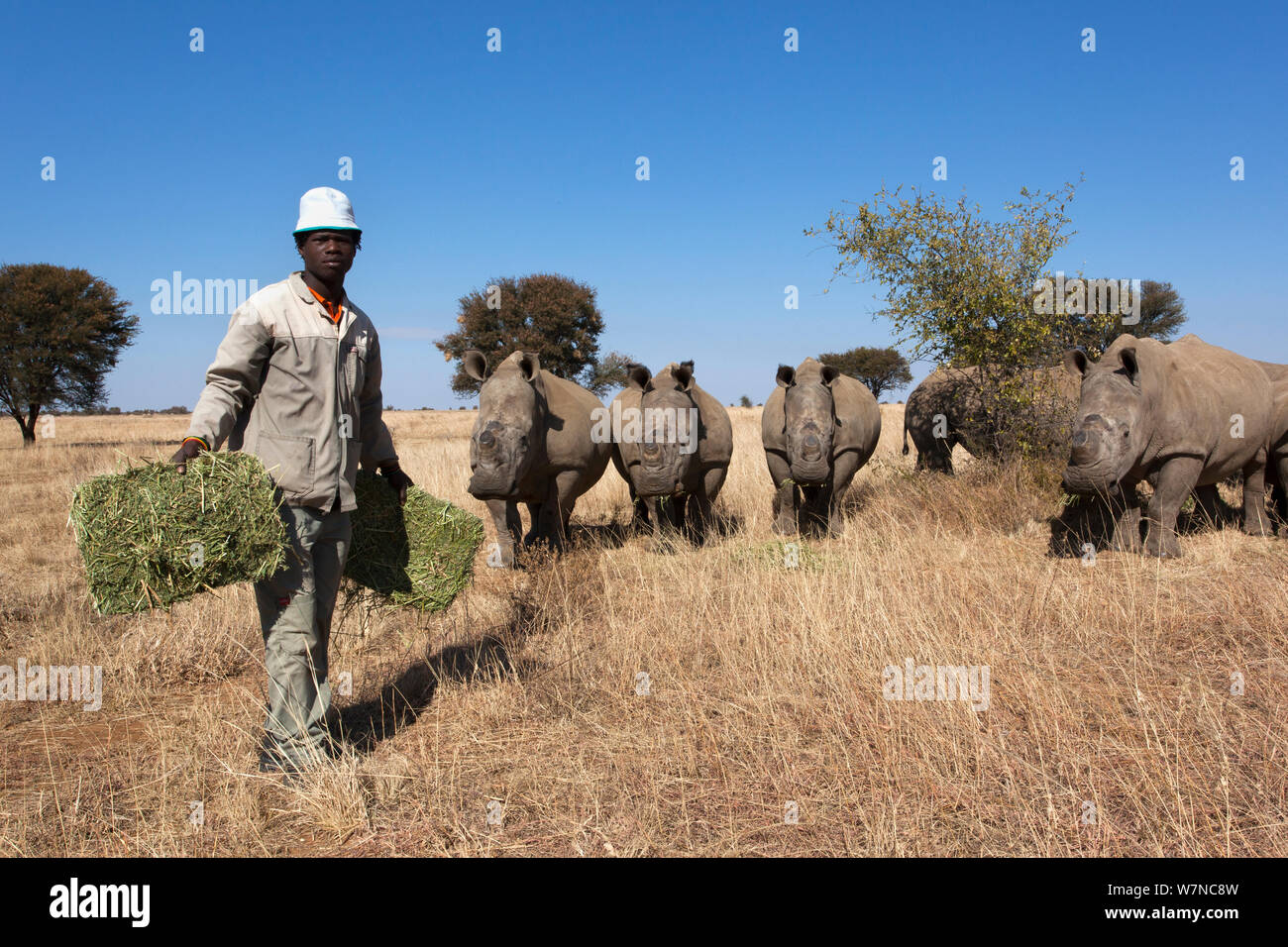 Klerksdorp south africa hi-res stock photography and images - Alamy