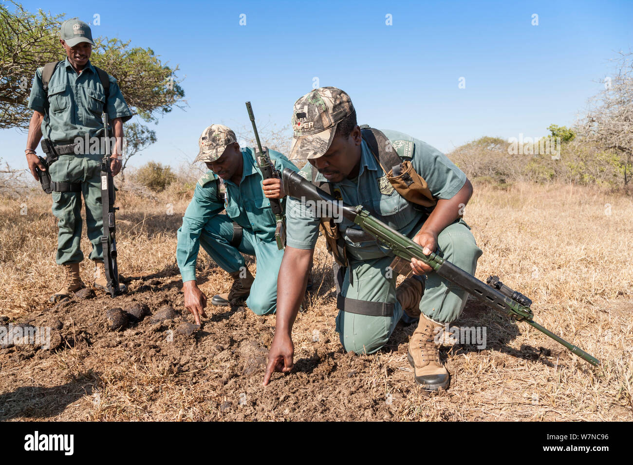 Anti-poaching unit on patrol in the bush, l-r Mshiyeni Ntuli ...