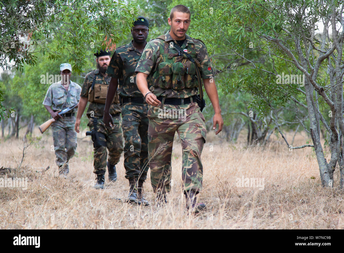 Anti-poaching unit on patrol in the bush, l-r Eric Moletshe, Michael ...
