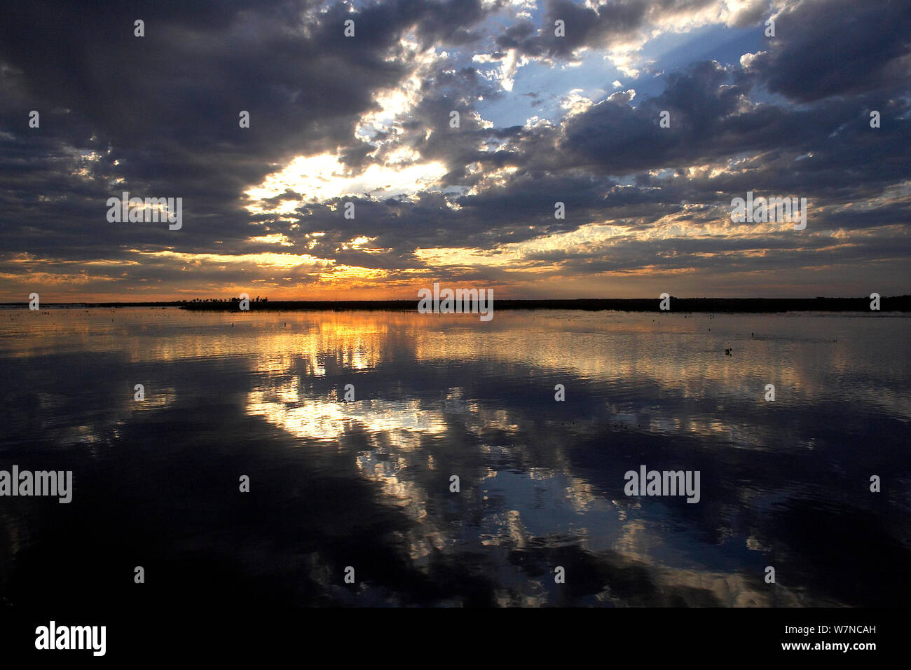 Ibera Wetlands Provincial Park, Corrientes Province, Argentina. October ...