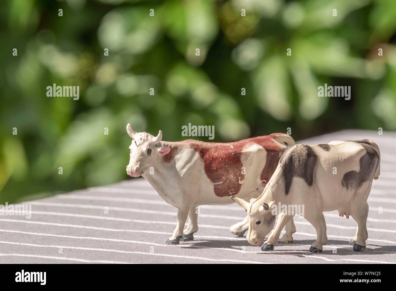 Plastic cow farming toy Stock Photo - Alamy