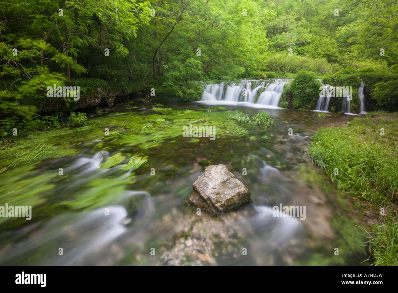 The River Lathkill, Lathkill Dale National Nature Reserve, Peak ...