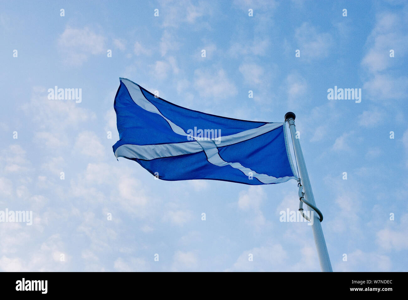 Flags of scotland hi-res stock photography and images - Alamy