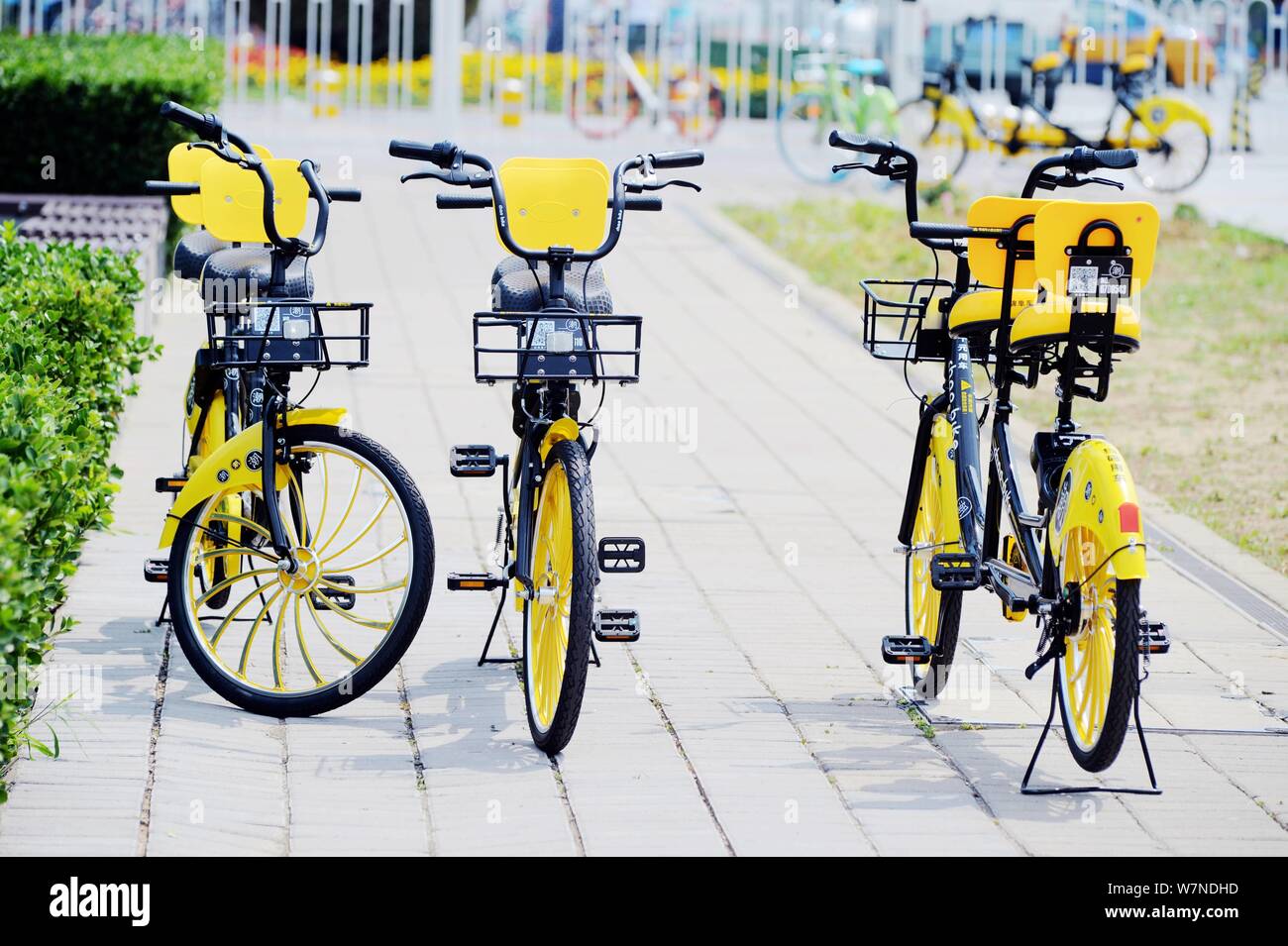 Tandem bicycles of Chinese bike-sharing service chao bike are pictured ...