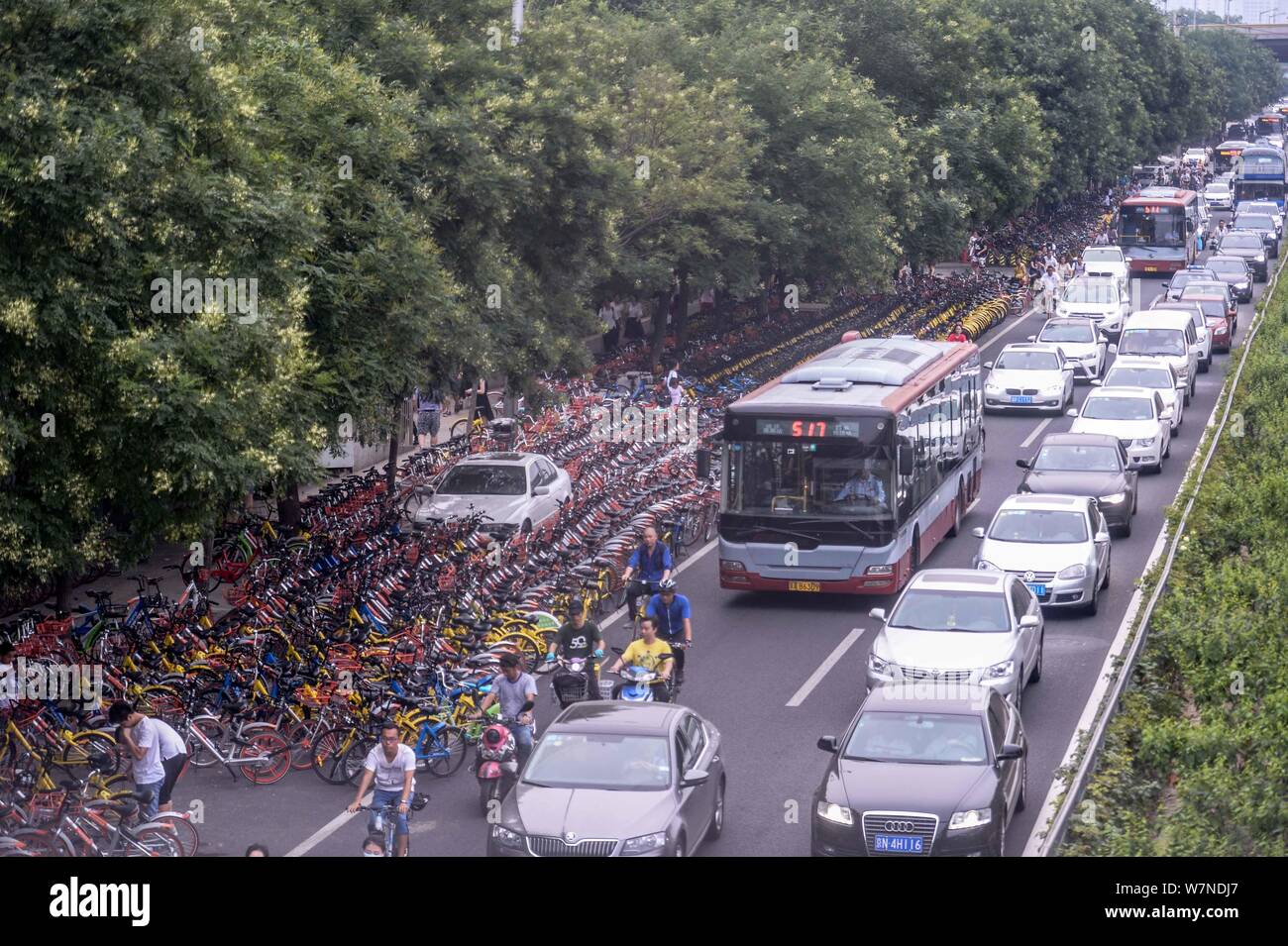 Motor vehicles and cyclists pass by rows of bicycles from bike-sharing ...