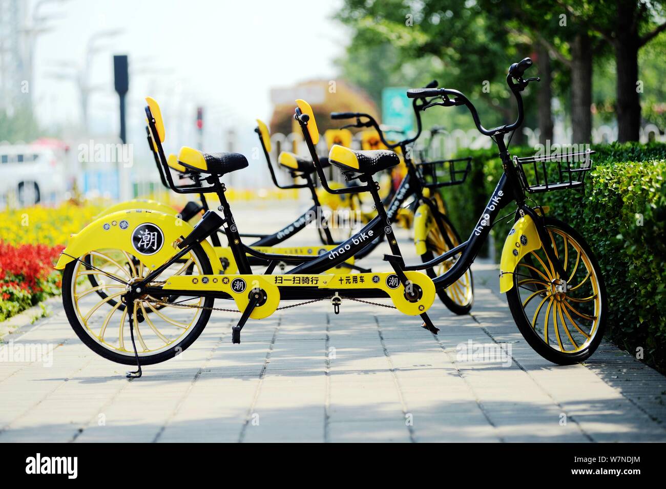 Tandem bicycles of Chinese bike-sharing service chao bike are pictured ...