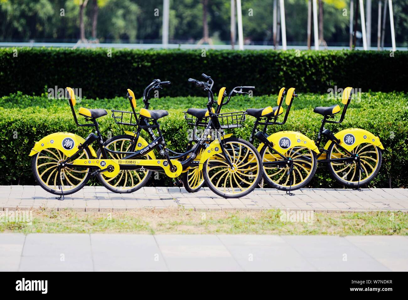 Tandem bicycles of Chinese bike-sharing service chao bike are pictured ...