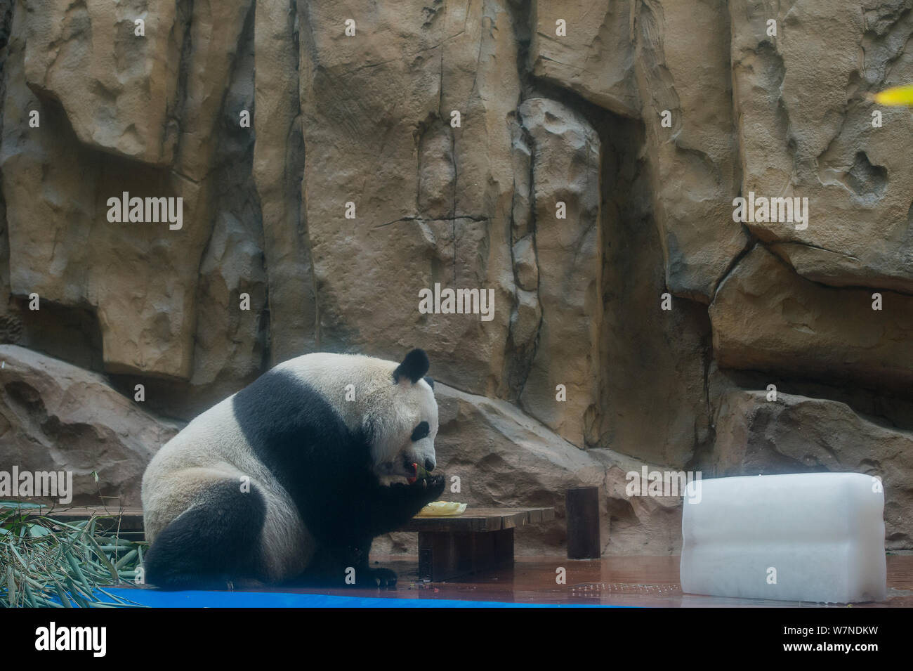 Air cools hi-res stock photography and images - Alamy