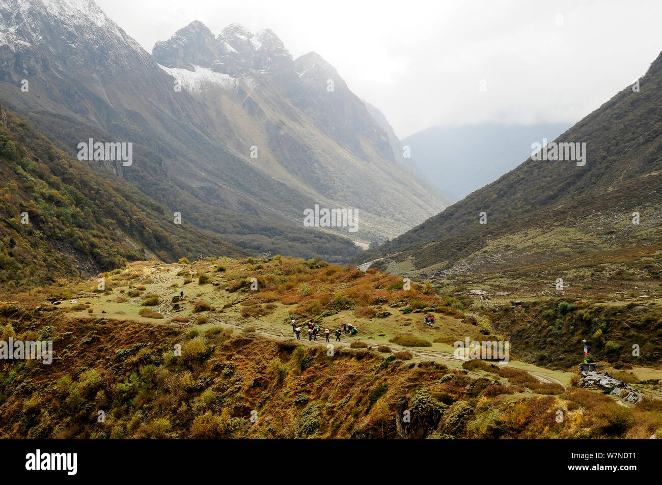 Porters in the Budhi Gandaki river valley, walking to Samdo (3.690m ...
