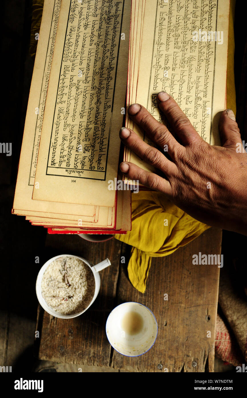Buddhist Monk reading scriptures in Samdo village (3.690m). Manaslu ...