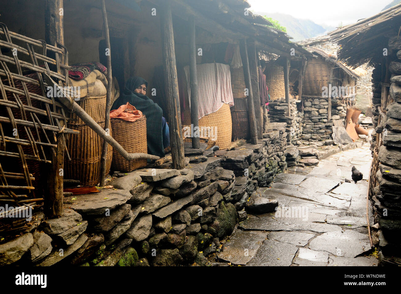 Small village in the valley of the Budhi Gandaki. Manaslu Conservation ...
