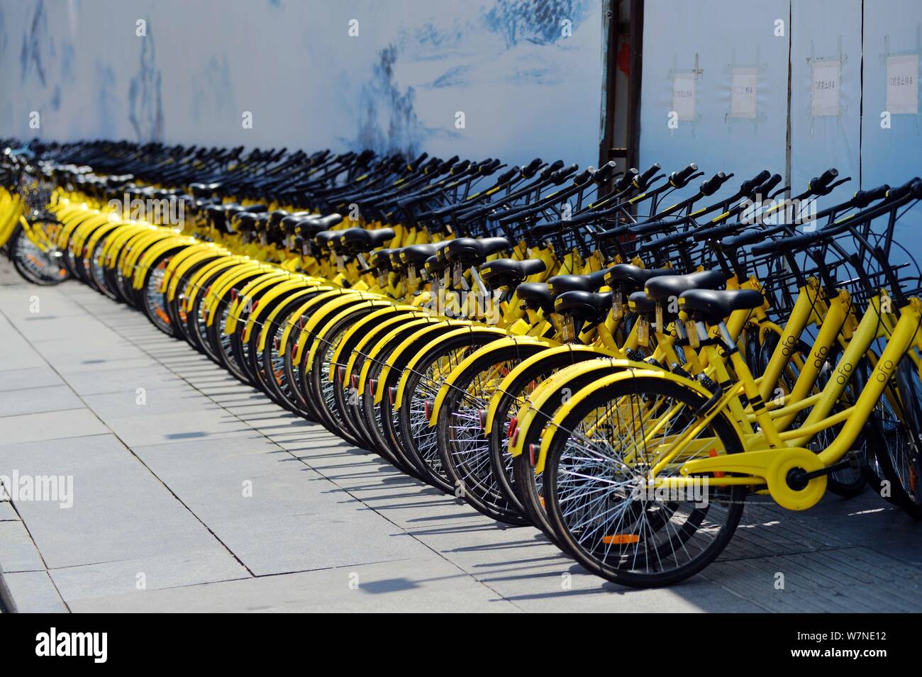 --FILE--Bicycles of Chinese bike-sharing service ofo are lined up on a ...
