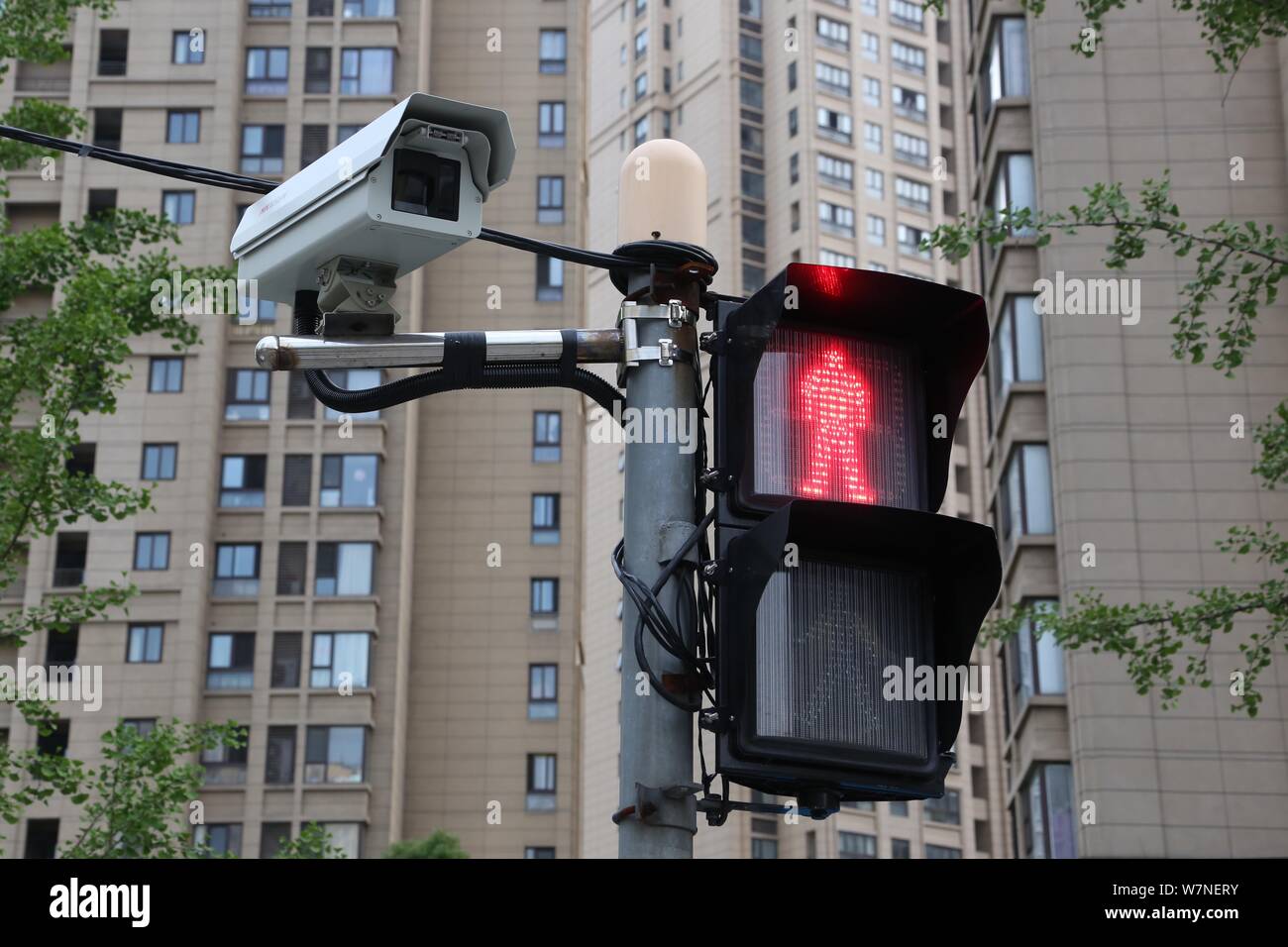 View of a trial electronic police device to catch jaywalkers on camera ...