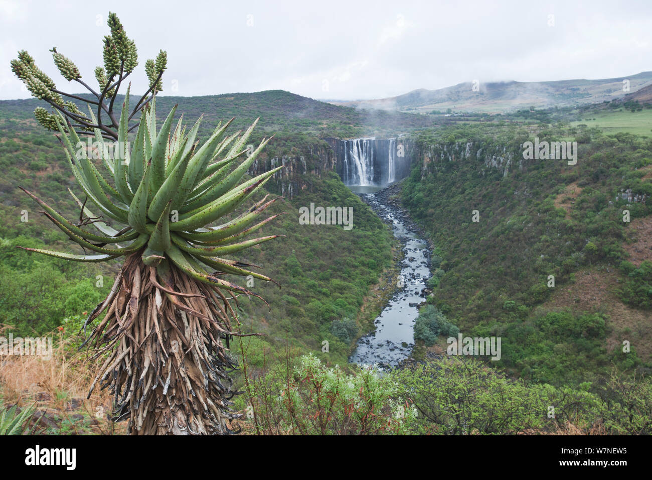 Mooi river falls hi-res stock photography and images - Alamy