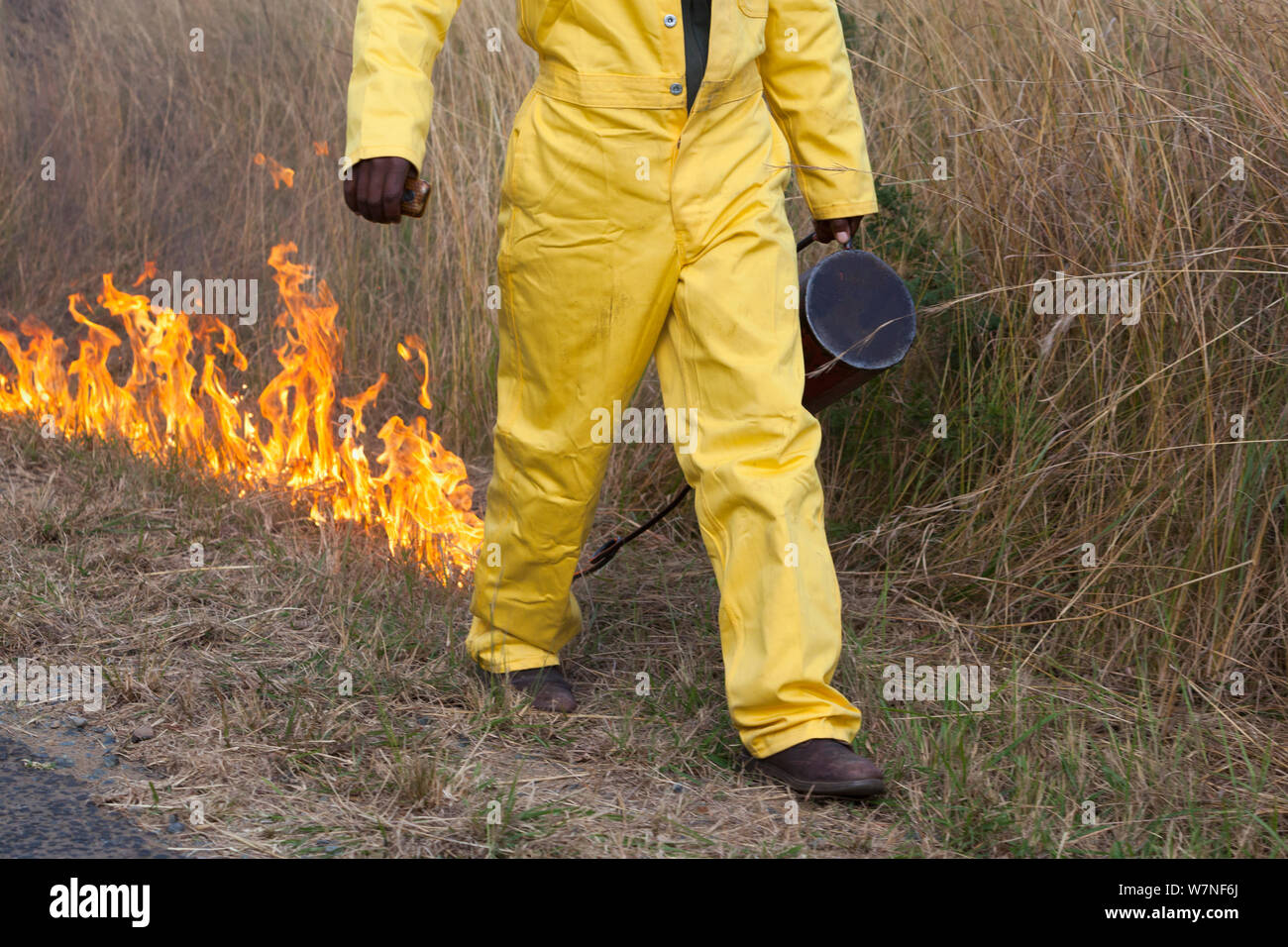 Firebreak hi-res stock photography and images - Alamy