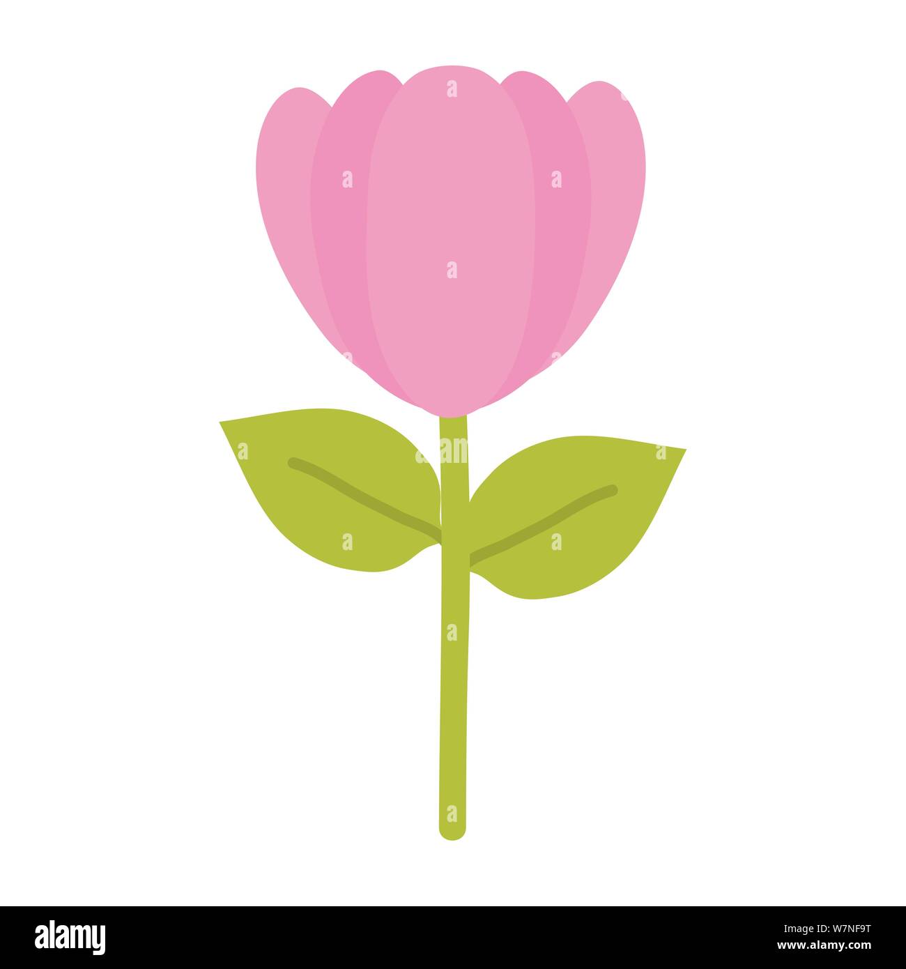 rose flower garden nature icon vector illustration design Stock Vector ...