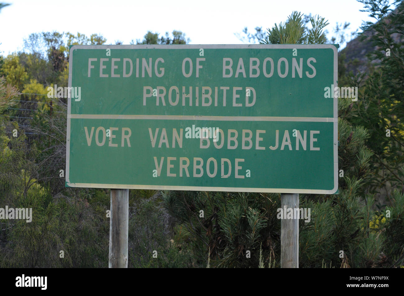 'Feeding of Baboons Prohibited' warning sign. Tradouw Pass, Western ...
