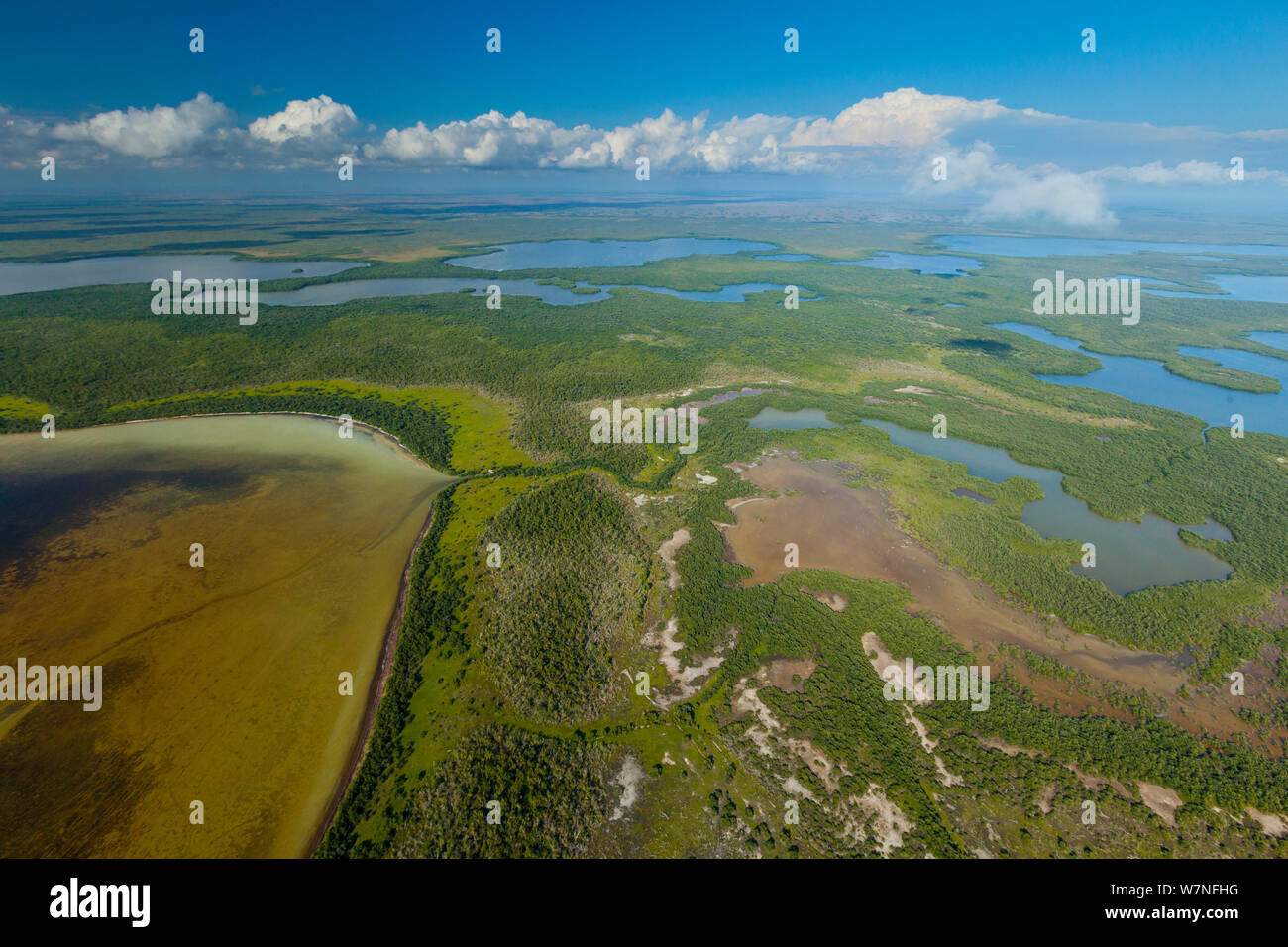 Everglades wetlands aerial hi-res stock photography and images - Alamy